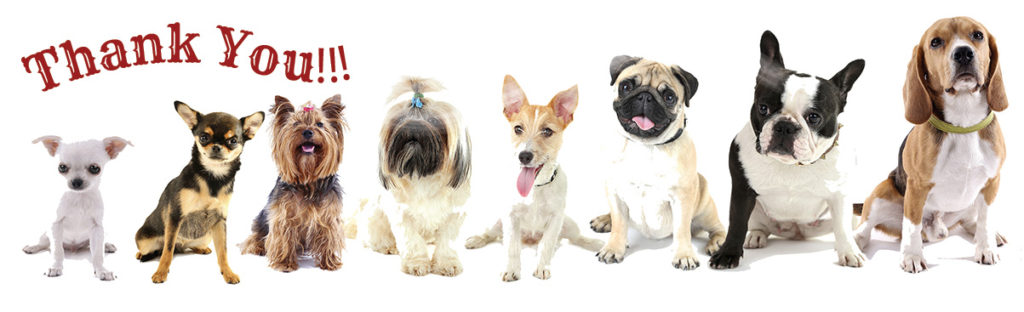 cute-dogs-thank-you - Ghost Town Dog Rescue